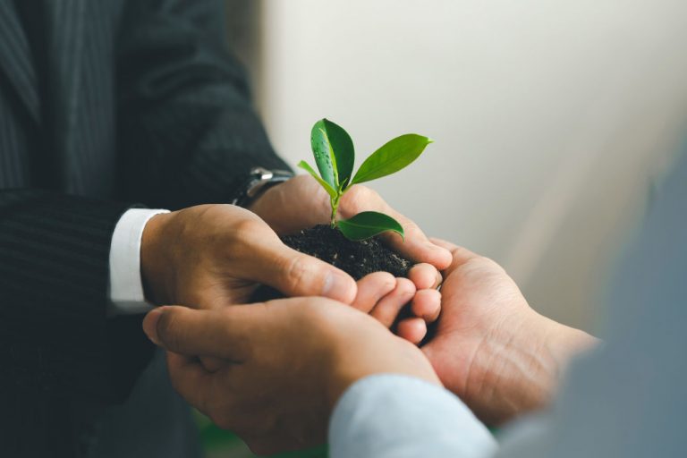 Partner with Serene - Serene Funeral Planning